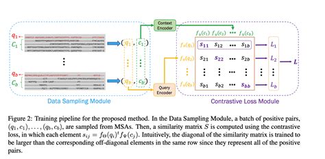 Fastmsa:一种高效的蛋白质多序列比对(msa)方法 知乎 Fastmsa:一种高效的蛋白质多序列比对(msa)方法 知乎