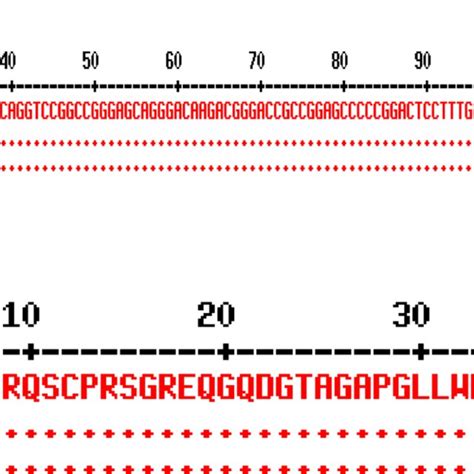 Partial DNA Sequence Alignment Of Exon Showing T C Mutation In The Download Scientific