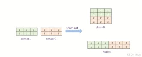 Pytorch Tensor拼接、切分、置换python Tensor拼接 Csdn博客