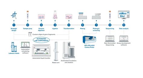 Clone Screening Molecular Devices On Linkedin What Is A Plasmid