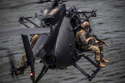The Black Hawk Dropped The Bird To Save It And The Black Hawk Got On