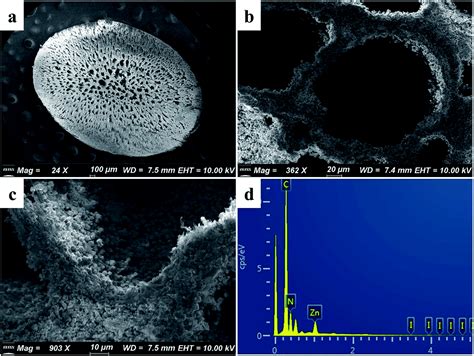 Porous Zif 8polyacrylonitrile Composite Beads For Iodine Capture Rsc Advances Rsc Publishing