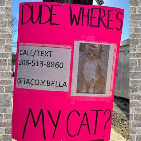 Farah Naz On Linkedin Persuasivecopywriting Realifecopywriting Contentwriting