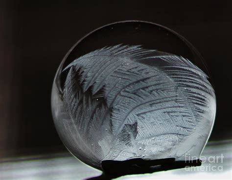 Bubble Freeze Photograph By John Groeneveld Fine Art America