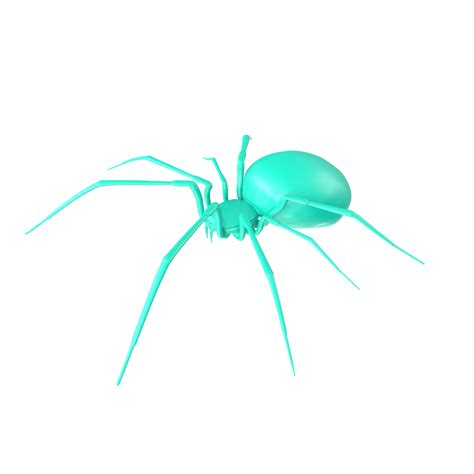 Spider Isolated On Transparent Background Png