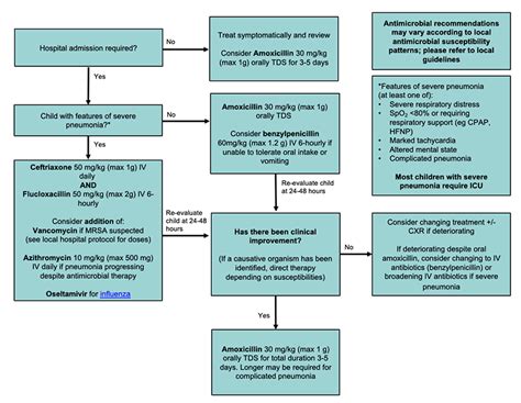 Clinical Practice Guidelines Community Acquired Pneumonia Clinical Practice Guidelines Community Acquired Pneumonia