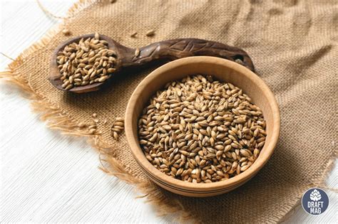 Special B Malt Guide A Close Look Into The Best Belgian Malt