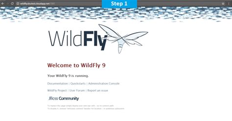 WildFly On Cloud AWS Azure Google Cloud
