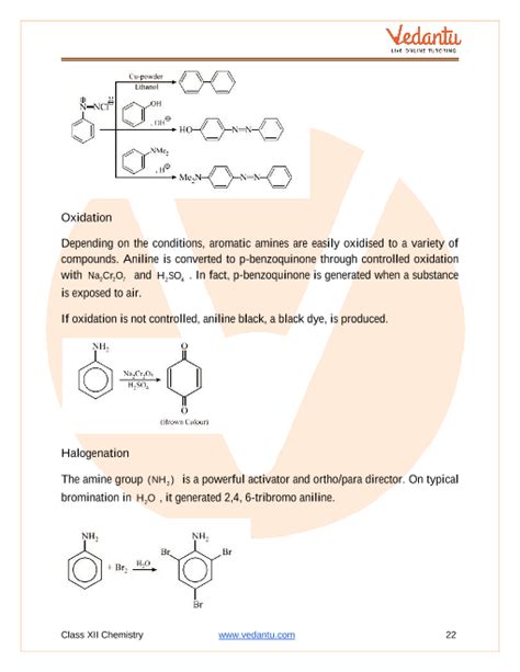 Amines Class 12 Ppt Cbse