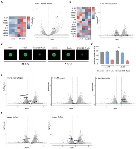 A Cytokine Gene Expression In Vitro Increased Expression Of Il12a Download Scientific