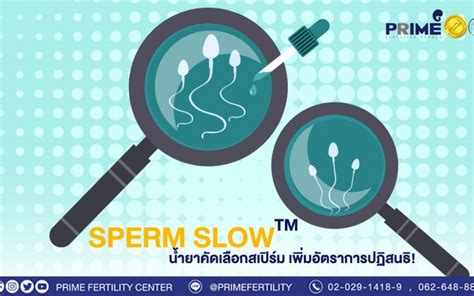 คลินิกมีบุตรยาก กรุงเทพ Prime Fertility Center Icsi Iui ฝากไข่
