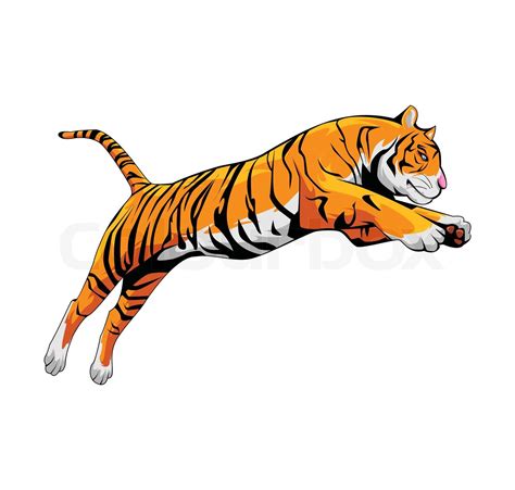 Tiger Stock Vector Colourbox