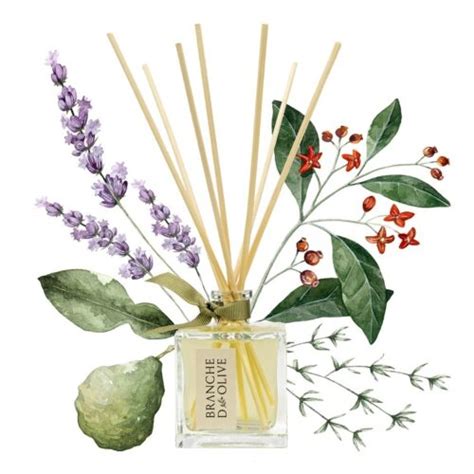Diffuser And Refill Garrigue Branche Dolive