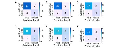 Confusion Matrixes Of The Svm A E Confusion Matrixes On The