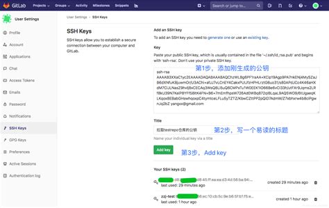 Gitlab Git Ssh 配置多个帐户 不同git仓库使用不用的ssh Key Csdn博客