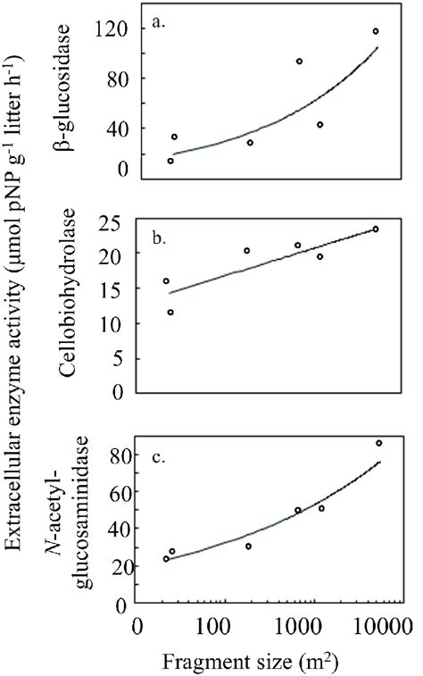 Extracellular Enzyme Activity And Fragment Size Extracellular Enzyme Download Scientific