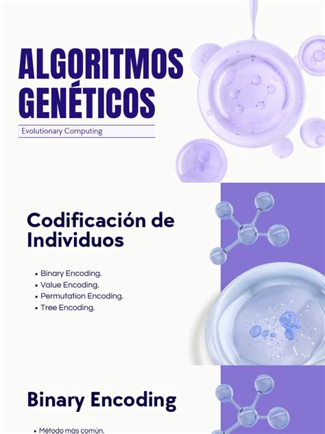 Presentacion Algoritmos Genéticos Pdf Optimización Matemática Algoritmos Y Estructuras De