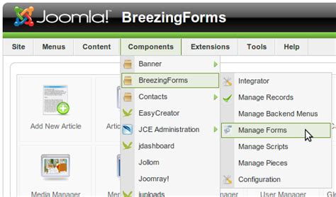 Creating A Simple Multiple Page Form In Joomla® Crosstec