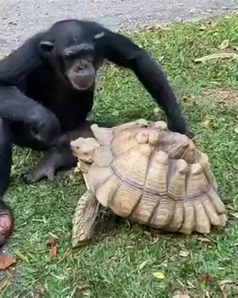 Erasto Kimonge On Linkedin Friendship Truefriends Trust