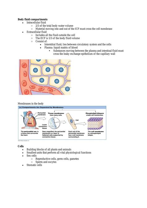 Hubs1403 Week 3 Lecture Notes Hubs1403 Biomedical Science Part 1 Newcastle Thinkswap