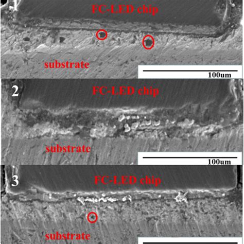 The Micro Morphology Of The Solder Joint Interface Of The Filament Download Scientific Diagram