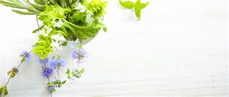 進藤クリニック 京都市上京区中立売通千本東入丹波屋町 内科