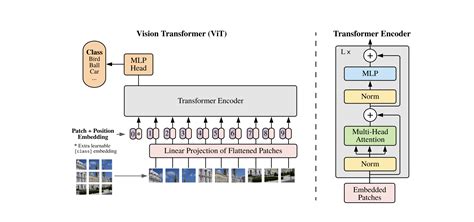 Github Seblful Vision Transformer Replicating Of Paper An Image Is Worth X Words