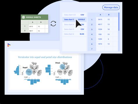 Free Histogram Maker Create Your Own Histogram Online Datylon