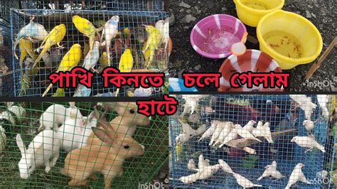 হাট বসেছে শুক্রবারে। তাই হাটে চলে গেলাম পাখি কিনতে।। কি পাখি‌ কিনলাম হাট থেকে।। Youtube