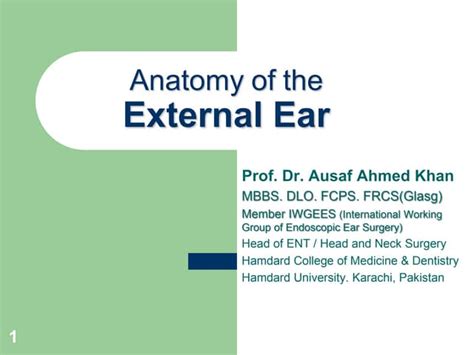 Anatomy Of External Ear Pptx