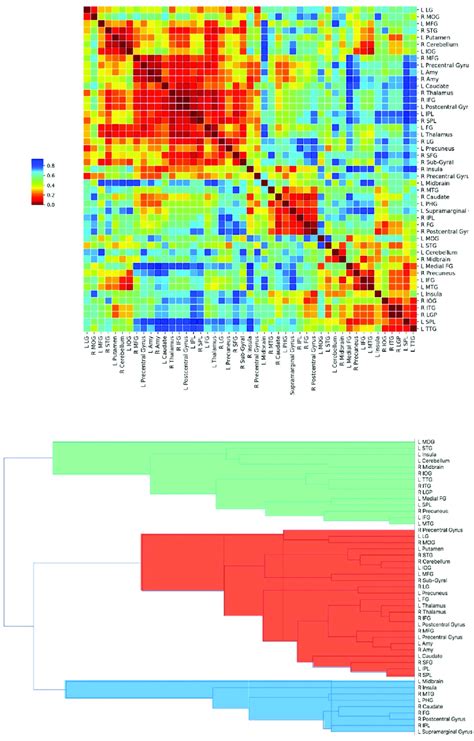 Distance Matrix And Hierarchical Clustering Between Brain Areas Found