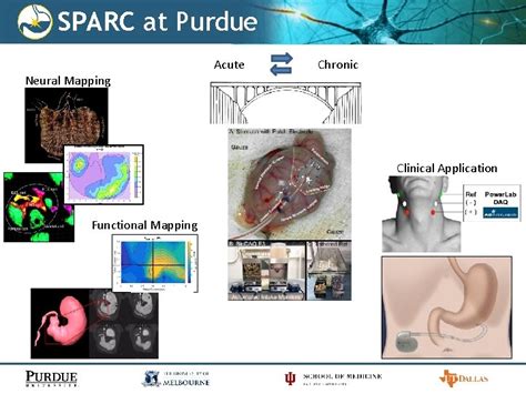 Sparc At Purdue Chronic Stimulation Microbehavioral Analysis Of