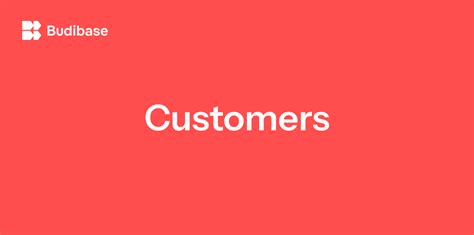 Why The Bulgarian Goverment Chose Budibase