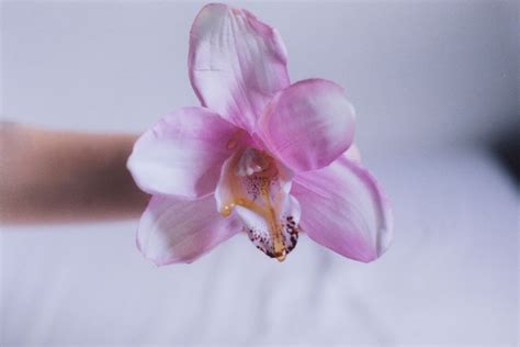 My Work Is About Sexuality Images That Are A Sophisticated Delicate And Intimate Metaphor Of