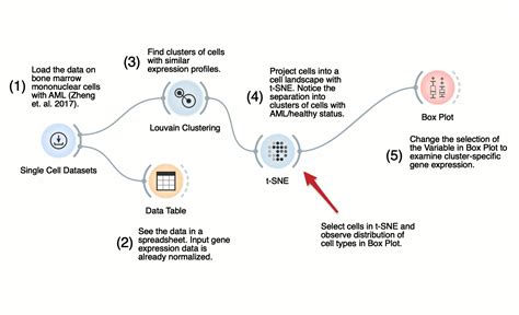 Scorange Workflows Single Cell Analysis