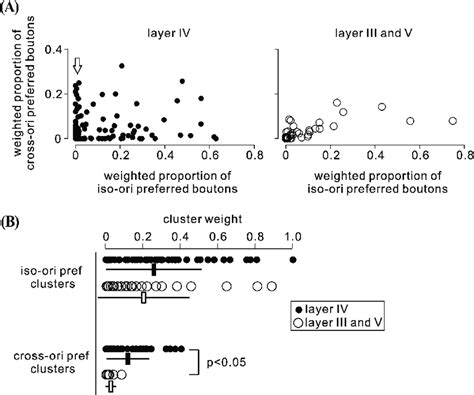 Comparison Of Orientation Preference Between Layer Iv And Iiiv Cells