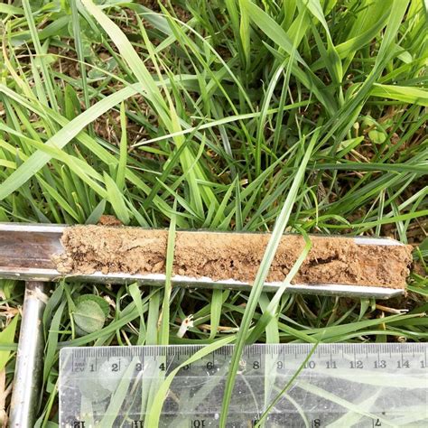 Soil Health And Medicinal Herbs Whole Health Agriculture