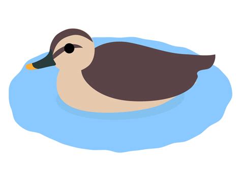 カルガモのイラスト イラスト無料かわいいテンプレート