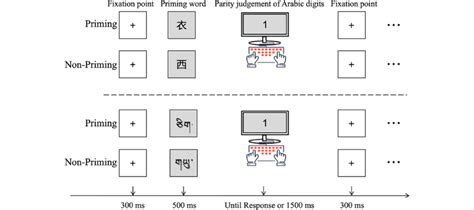 The Procedure Used In Experiment 2 The Upper Section Shows The Chinese Download Scientific
