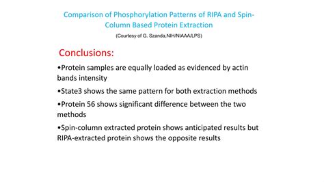 Potential Problems Of Protein Extraction Using Ripa Buffer Invent Biotechnologies Ppt