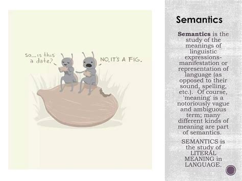 Semantics And Pragmatics Definition And Relationship Ppt