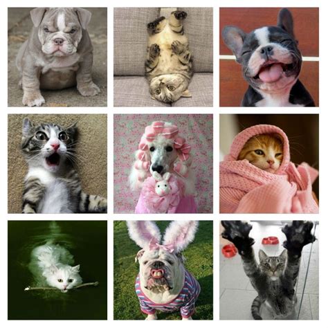 45 Mood Scale Memes Ideas To Save Today How Are You Feeling Feelings