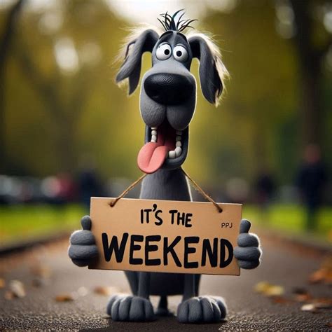 Long Weekend 