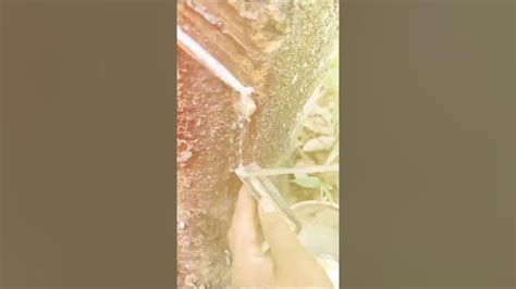 Motivational Code Shorts Viralsong Motivationalquoteoftheday2 Youtube