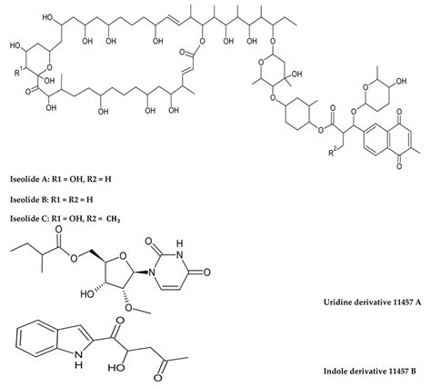 Structures Of Newly Reported Compounds Of Marine Actinomycetes Download Scientific Diagram