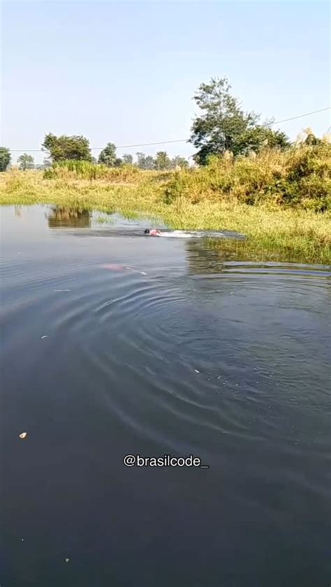 Brasil Code Programador Programador Html 🧑🏽‍💻😎 1 ‼️quer Aprender A Programar Do Zero