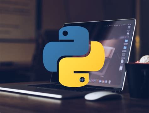Write Your Python Codes And Projects By Seyma Atmaca Fiverr