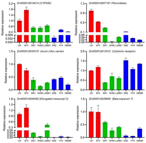 Comparative Analysis Of Mesocotyl Elongation Ability Among Maize Inbred Lines