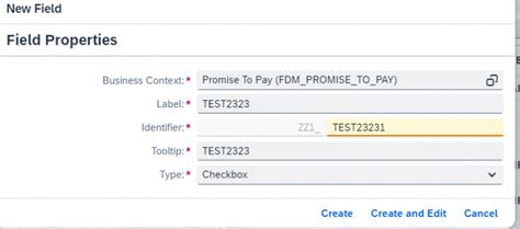Extending Fields In The Rap Based Fiori Applications Erp Qanda