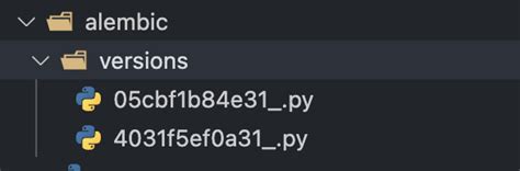 ERROR Alembic Util Messaging Can T Locate Revision Identified Issue
